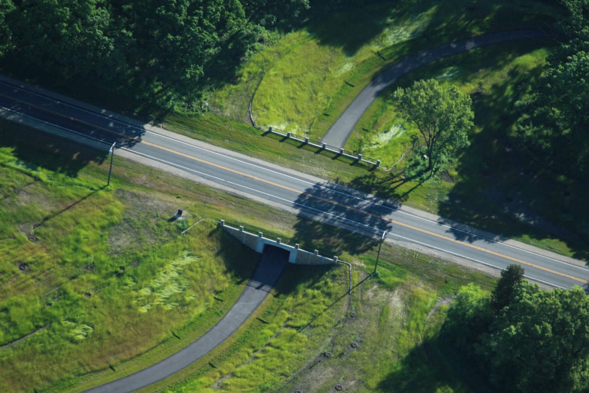 North York Road/Harger Road Intersection Improvement and Pedestrian ...