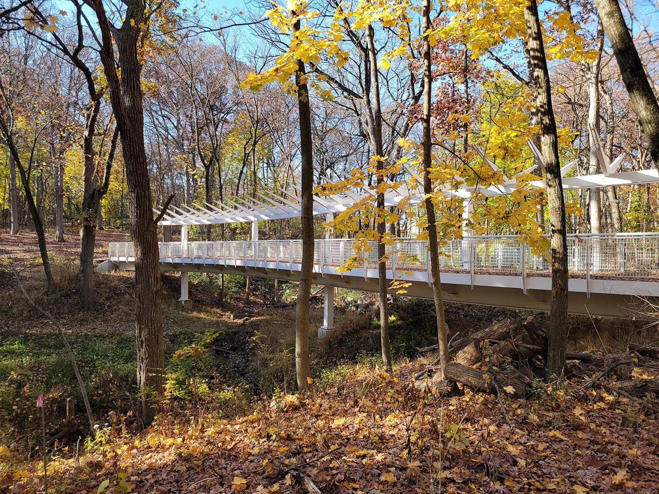 Nell’s Woodland – North Bridge | Civiltech Engineering, Inc.