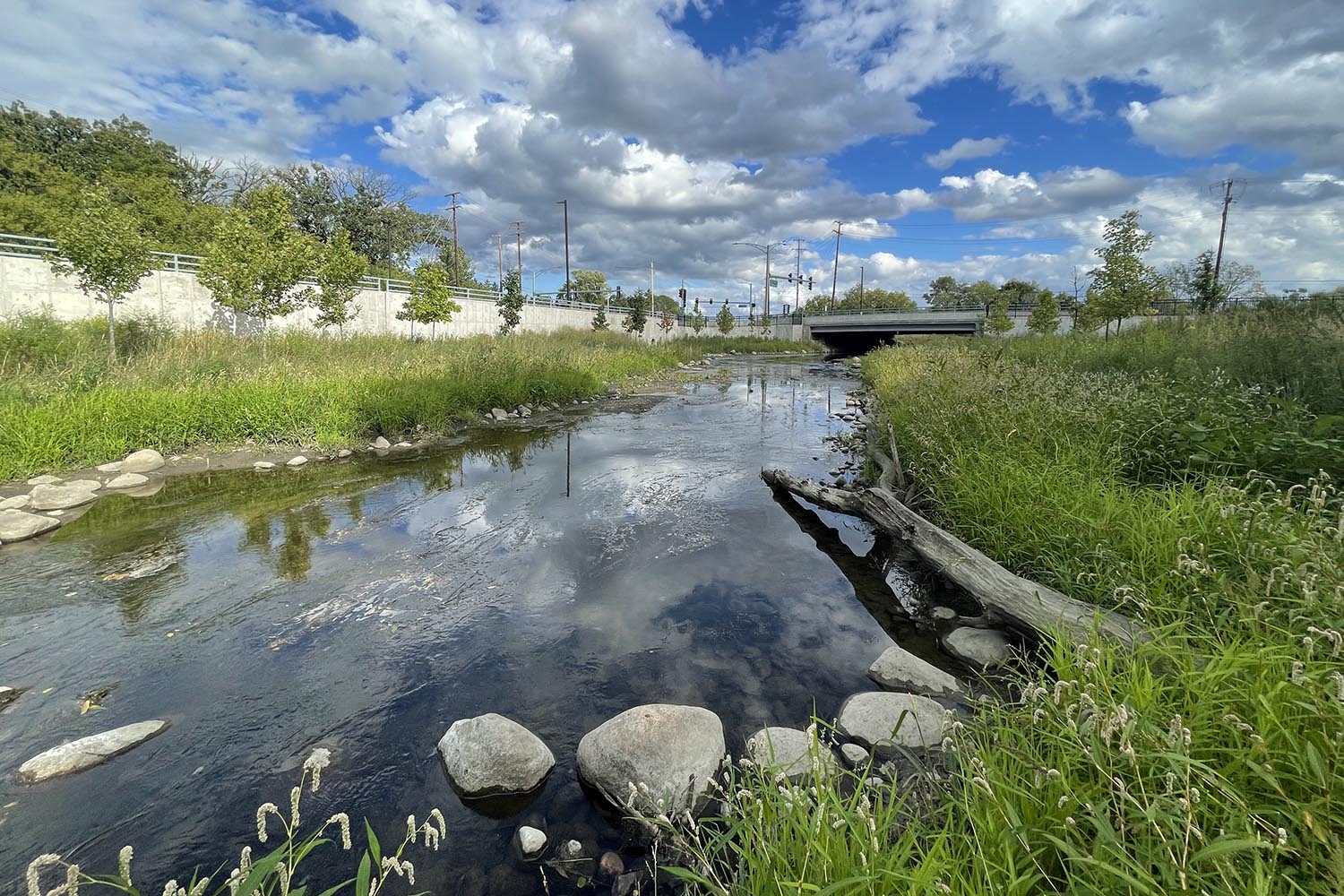 It's Growing Season — Civiltech's Nature-based Solutions Team is Hard at Work | Civiltech ...